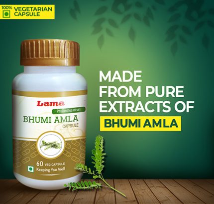 Bhumi Amla Veg 60 Capsules – Lama Pharmaceuticals