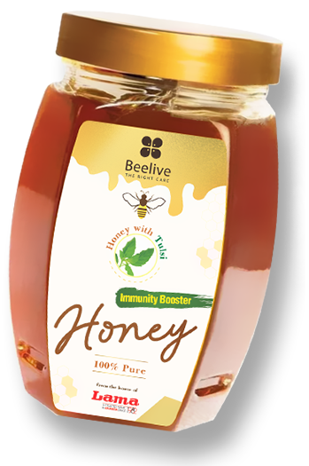 Lama Pharmaceuticals – Buy Ayurvedic and herbal Products Online